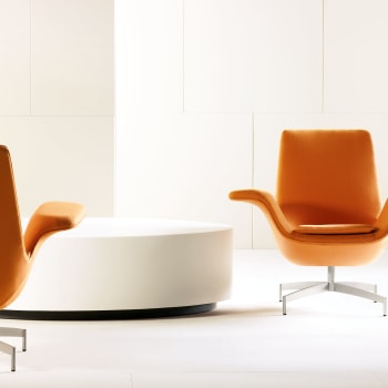 Oval Egg Coffee Table