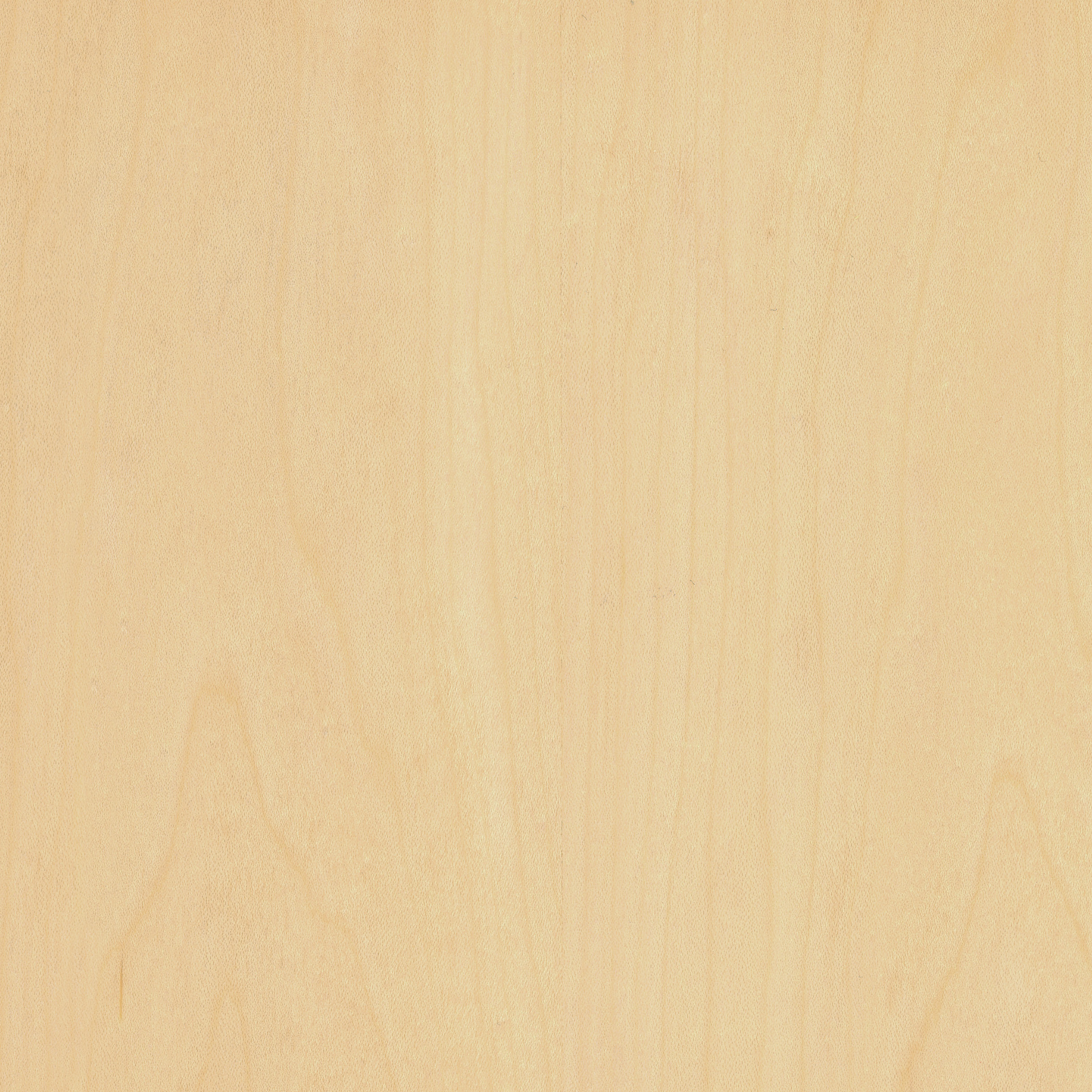 Surface Materials - Hni Naturalclearmaple Flatcutveneer | Allsteel