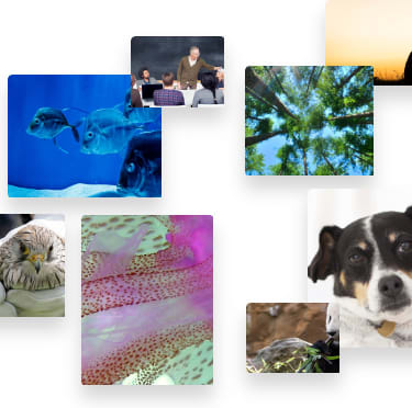 Top Jobs for Zoology Degree Majors — CareerExplorer