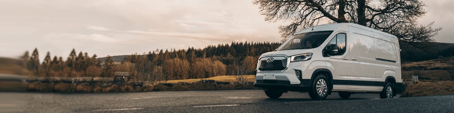 Deliver 9 Large Van - Select Van Leasing