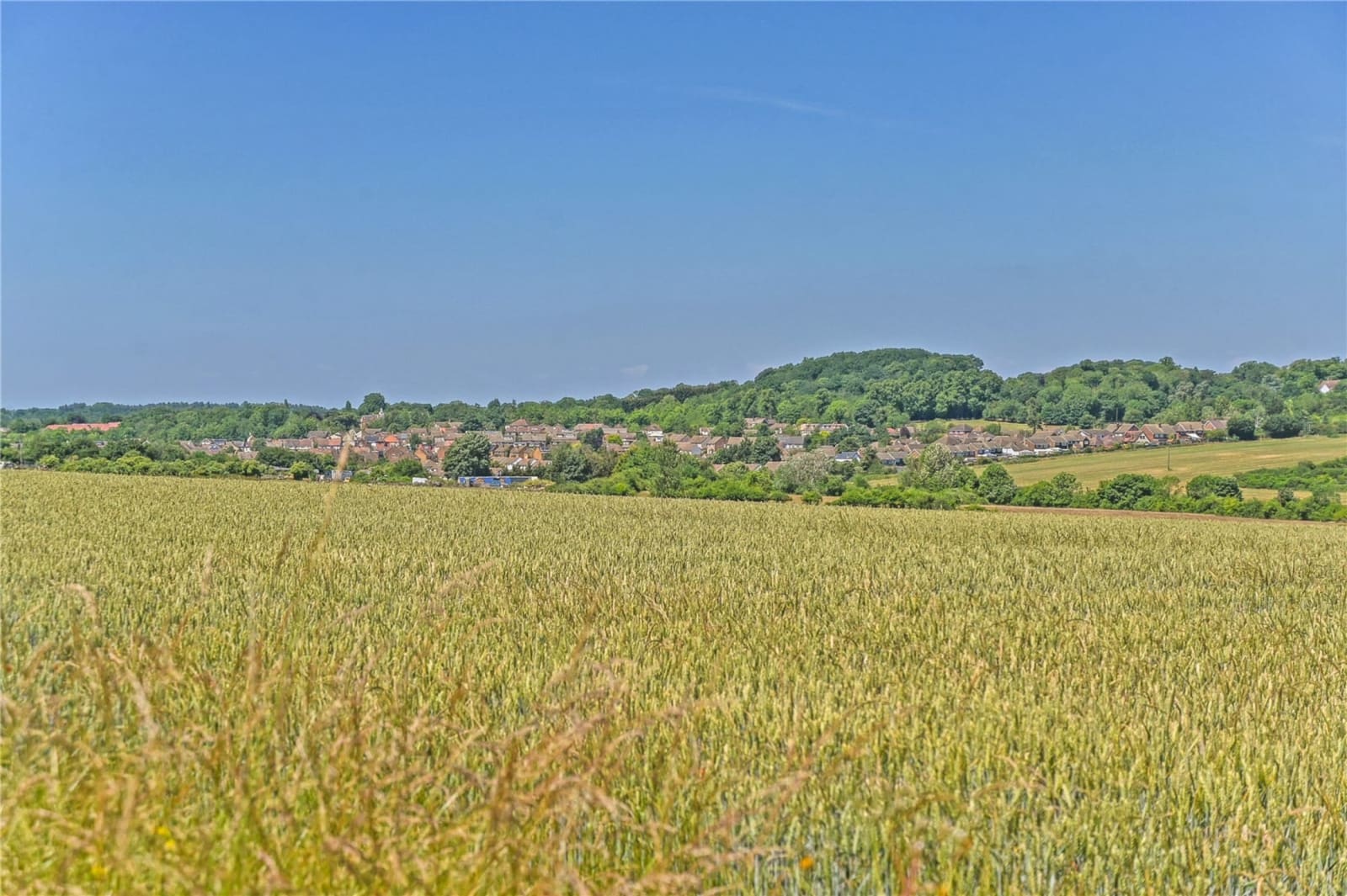 Farms and Land | Hobbs Parker