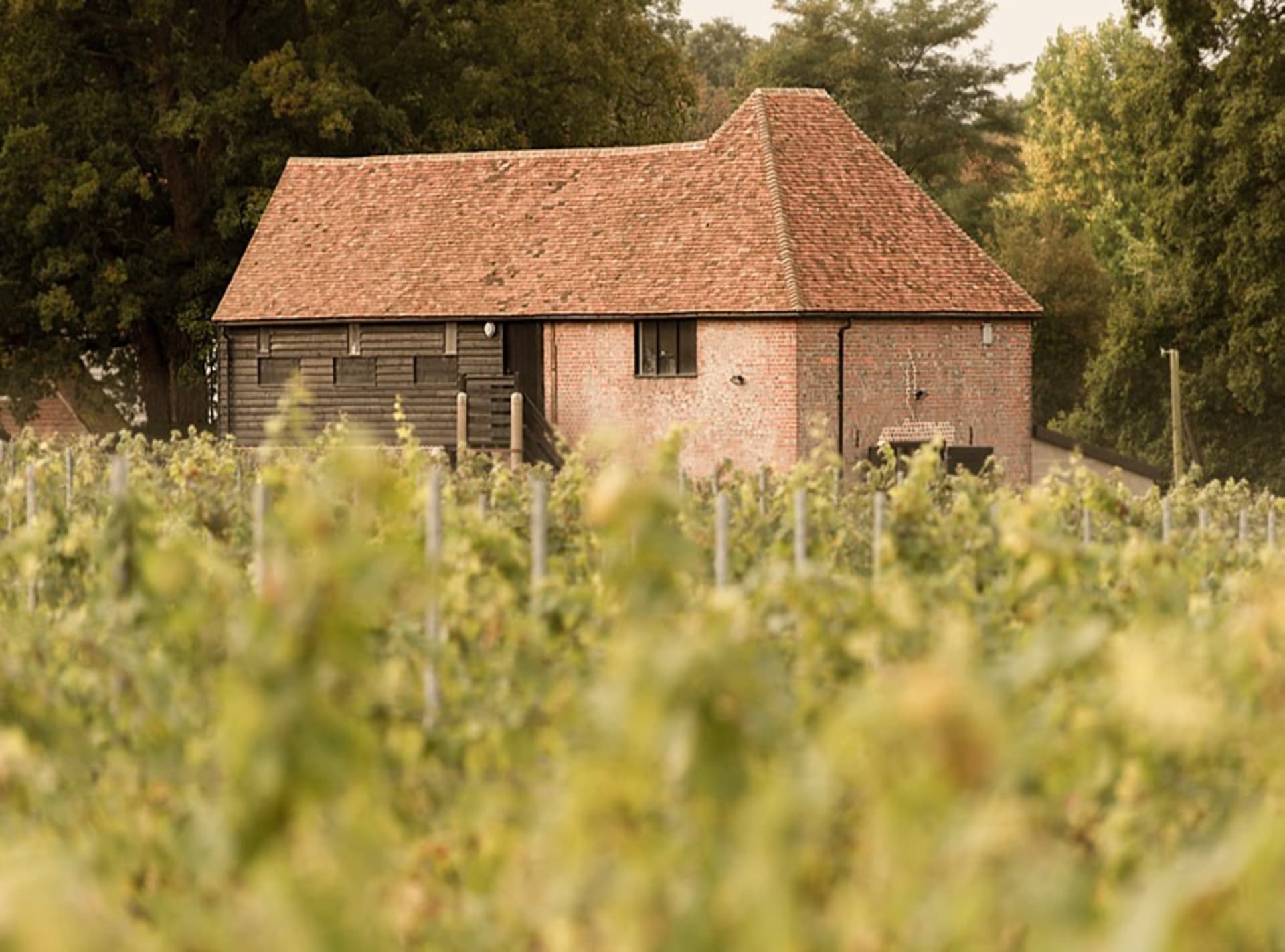Ten beautiful vineyards well worth visiting near to Ashford and ...