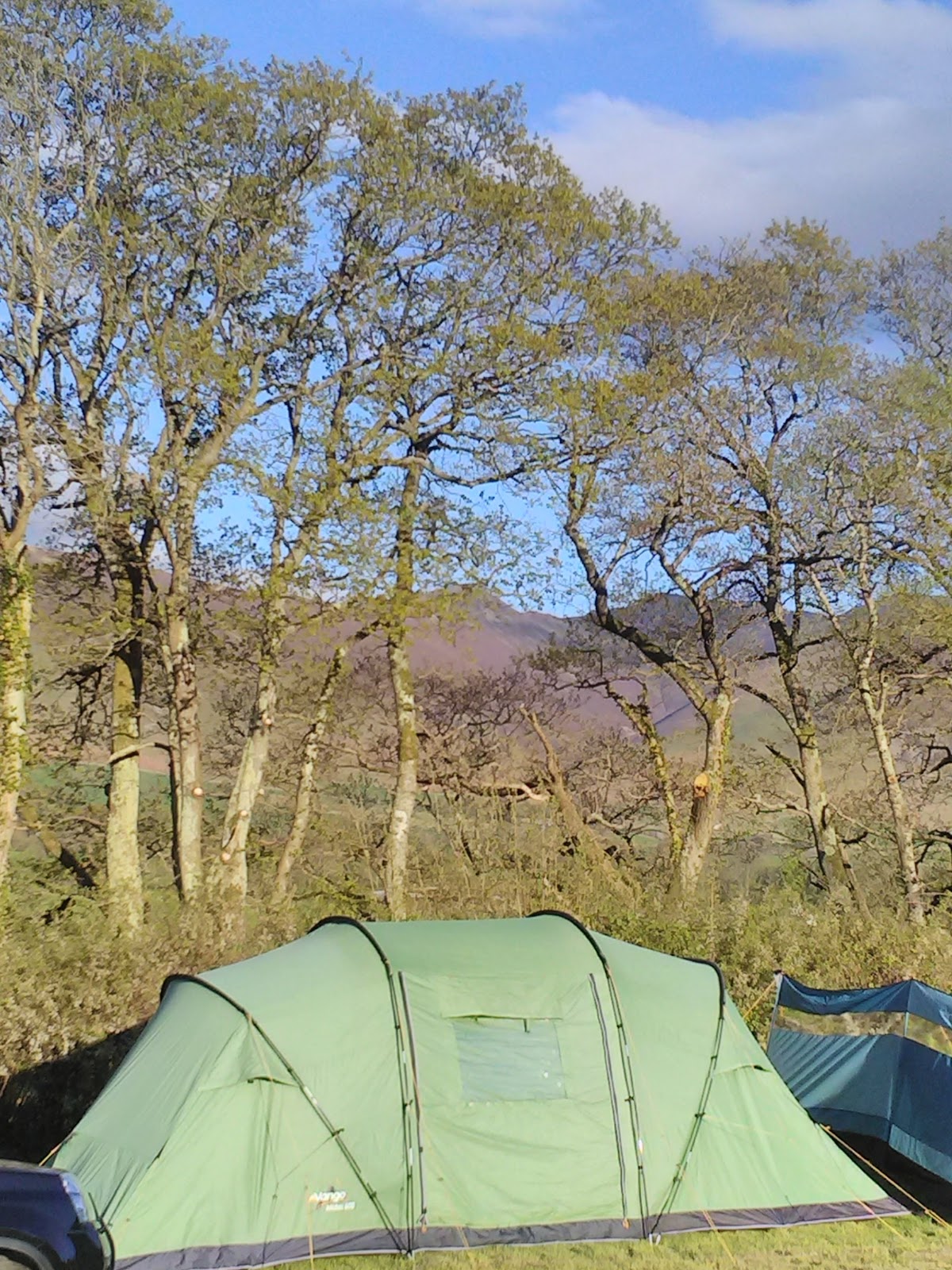 Whinfell Hall Farm Camp Site - Whinfell Campsite