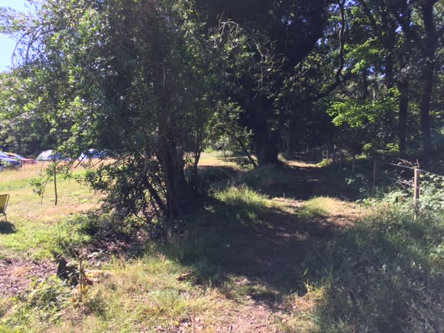 primrose fields camping wareham