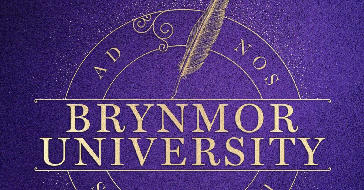 BRYNMOR UNIVERSITY – Rivals (Vol. 3) - Dominik Gaida | Rowohlt Verlag