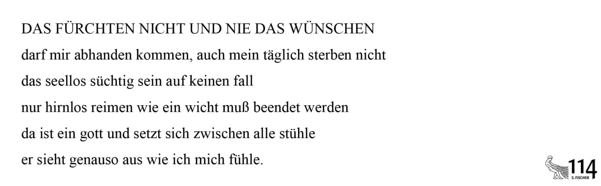 DAS FÜRCHTEN NICHT UND NIE DAS WÜNSCHEN | S. Fischer Verlage