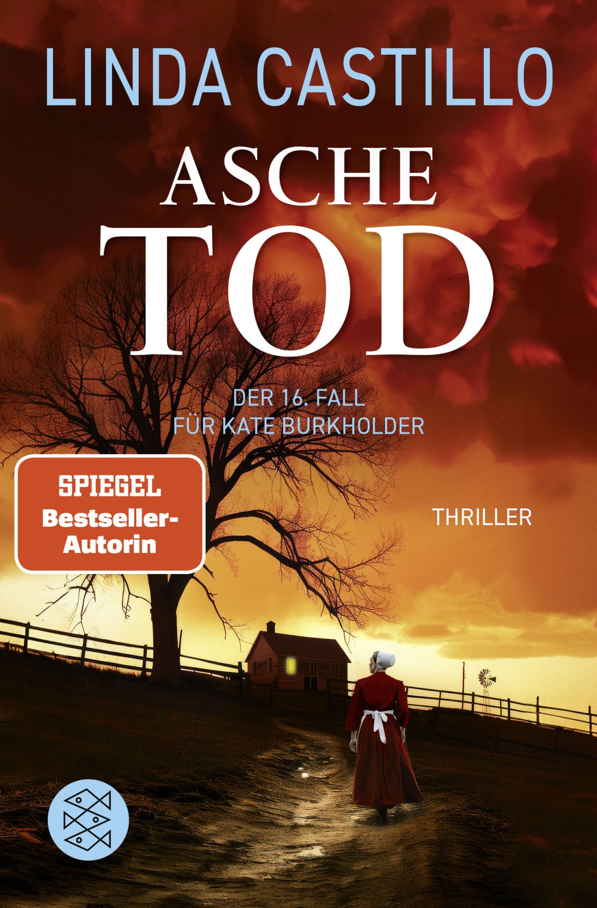 Buchreihe: Kate Burkholder ermittelt von Linda Castillo | S. Fischer ...