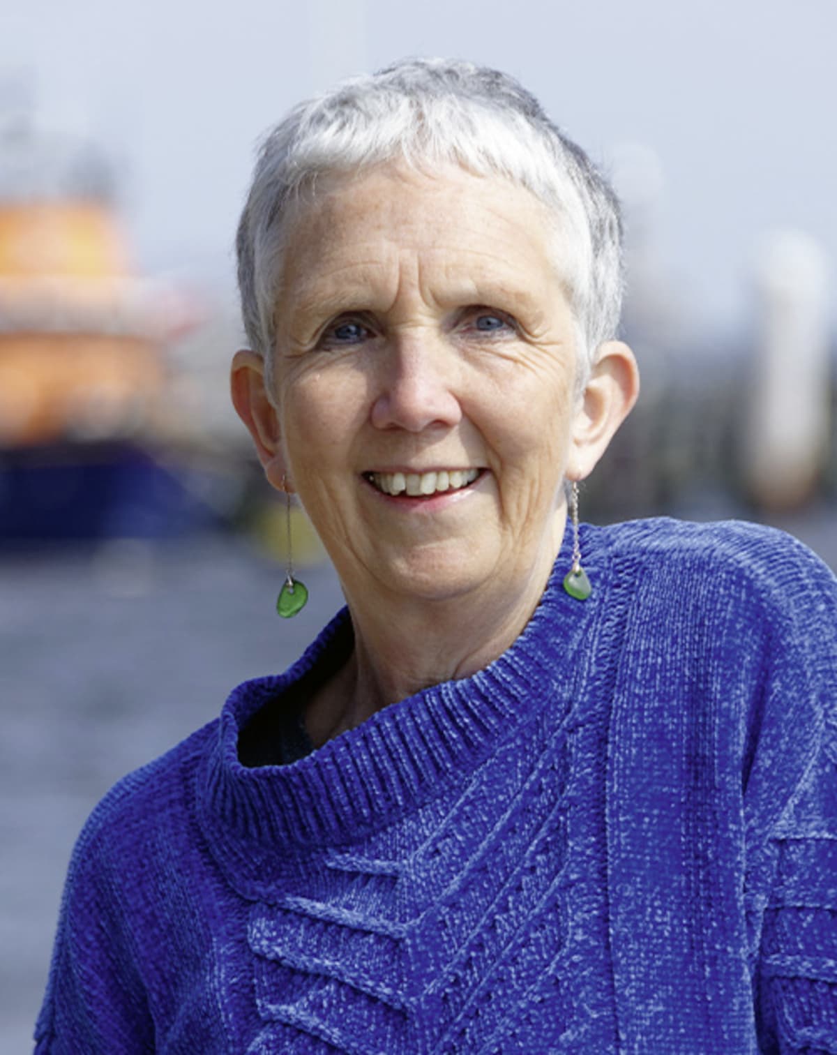 Ann Cleeves | Rowohlt Verlag