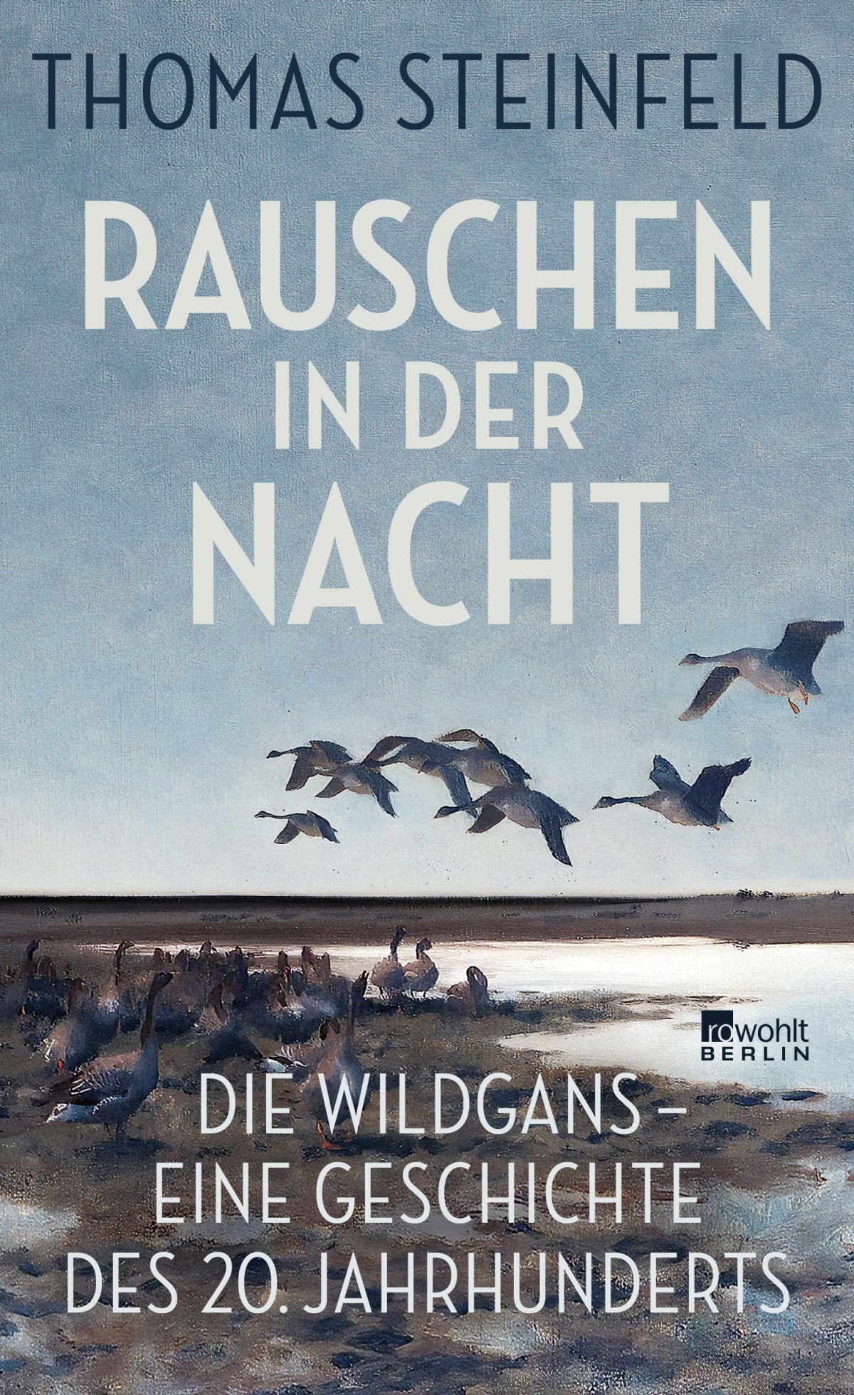 Rauschen in der Nacht - Thomas Steinfeld | Rowohlt Verlag
