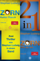Buchreihe: Zorn von Stephan Ludwig | S. Fischer Verlage