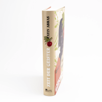 Zeit der Geister - Fatin Abbas | Rowohlt Verlag