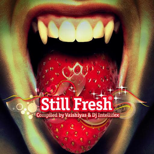 Meine Veröffentlichungen | Stefan Feuerhake