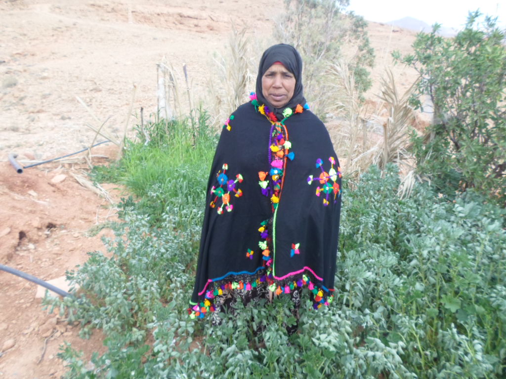 Tahrouite Assorted Threads Colored Morocco | Fair Trade Morocco Anou