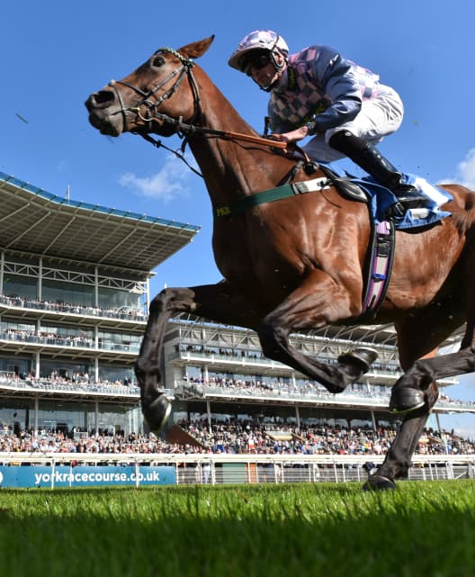York Racecourse Hospitality - Official VIP Packages & Tickets