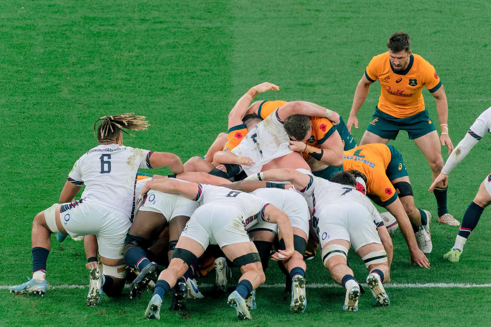 Autumn Nations Series 2025: Preview - Hospitality Finder