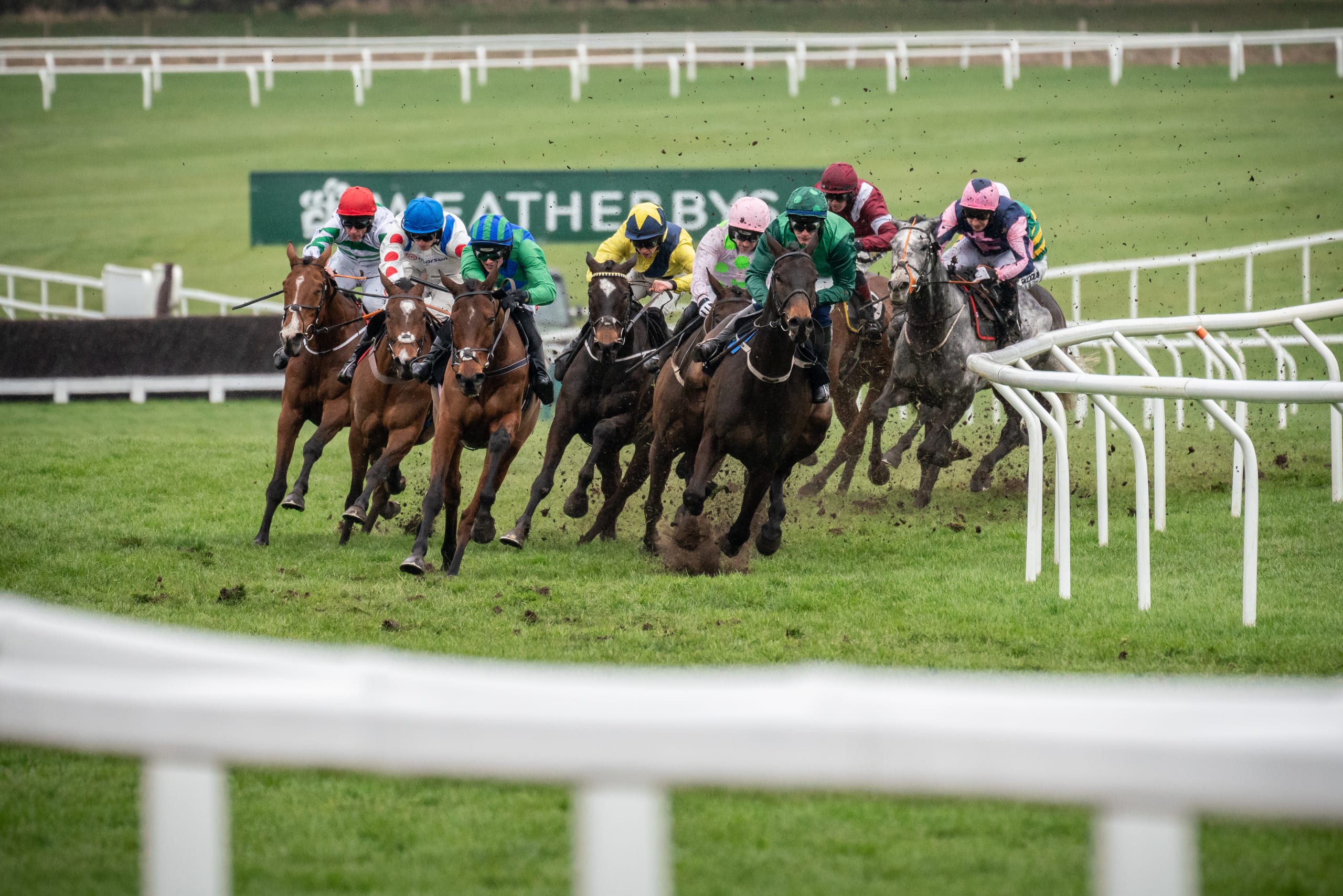 Cheltenham Festival 2023 | A Review of The Green Room