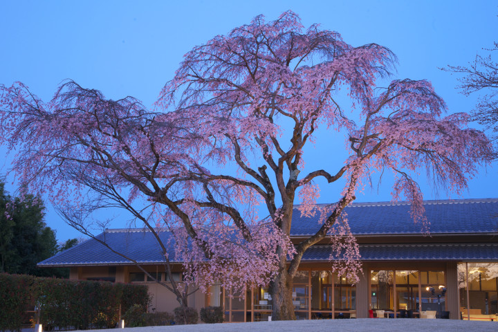 Kyoto - Utano YH - Kyoto - Japan - Youth Hostel