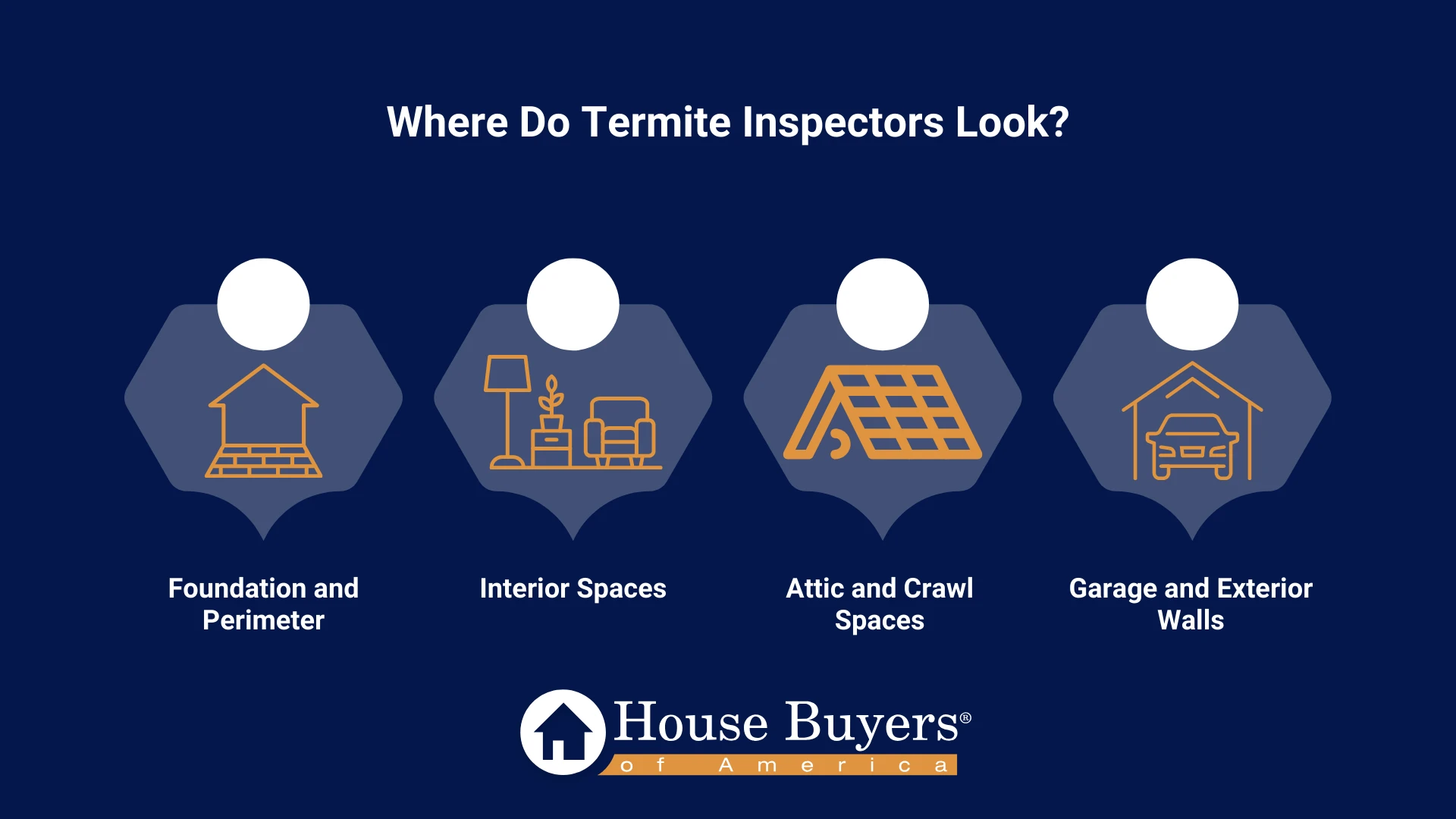 What Does a Termite Inspector Look For? A Complete Guide for Homeowners