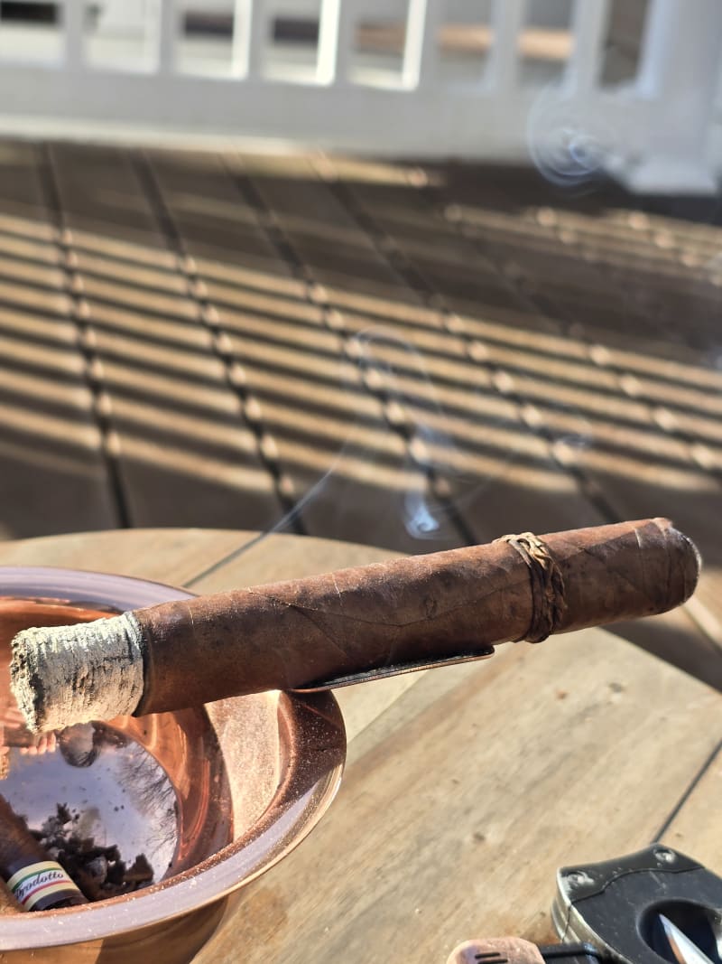 CAO Amazon Basin (2024) | Posted in The Lounge by Cory1 on April 24 ... CAO Amazon Basin (2024) | Posted in The Lounge by Cory1 on April 24 ...