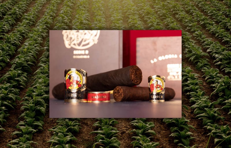 Cigar Education | Cigar World