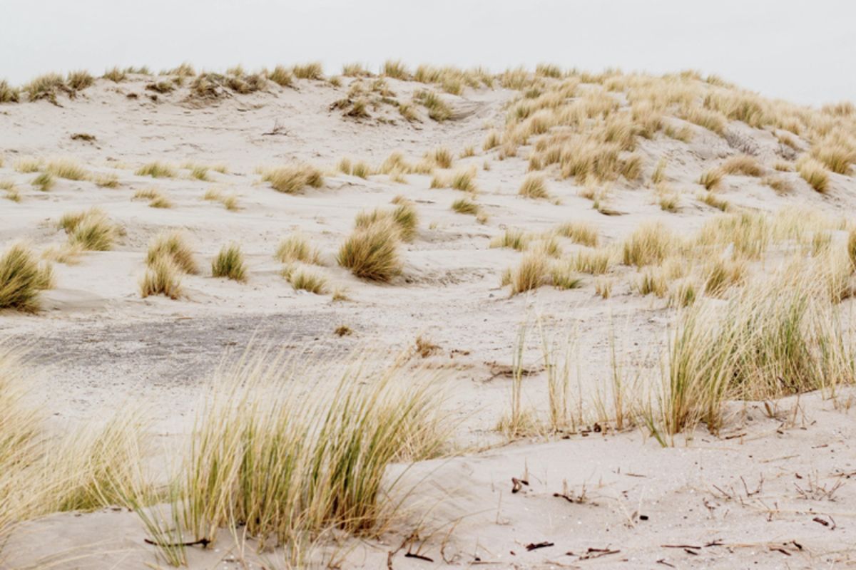 Mooiste strand van Zeeland - Top 10 mooiste stranden van Zeeland