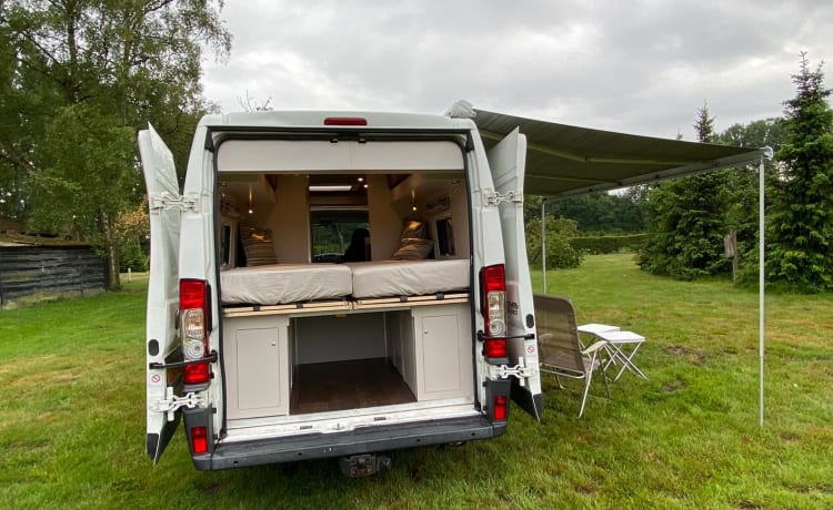 Autobus camper Fiat Ducato con sedili di lusso e un grande letto ...