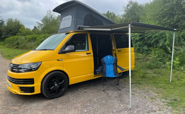 Bee – Meet Bee - VW CamperVan T6 from £149 p.d. - Goboony