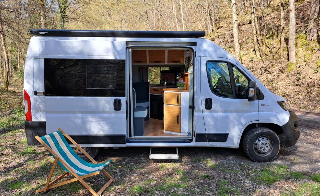 2p Fiat bus uit 2020 vanaf € 93 p.d. - Goboony