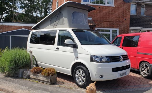 Wendy – Start your adventures with Wendy - Pets Welcome 🐕🐈‍⬛🐰 from £74 ...