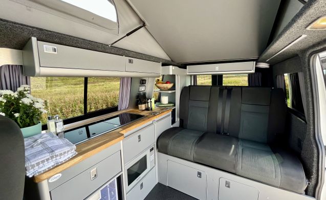 Sally – 4 berth Volkswagen Transporter campervan from £81.00 p.d. - Goboony