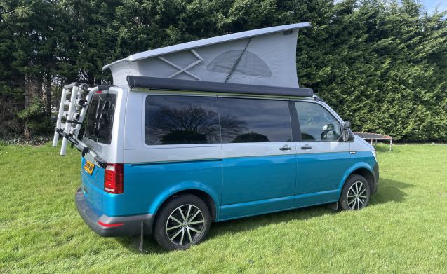 Aloha Beach Camper Aqua VW T6 California vanaf € 107 p.d. - Goboony