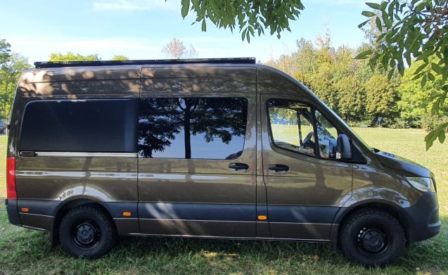 Lizz – Off-grid Mercedes buscamper vanaf € 106 p.d. - Goboony
