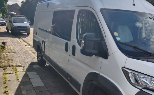 2p Citroën bus uit 2018 vanaf € 100 p.d. - Goboony