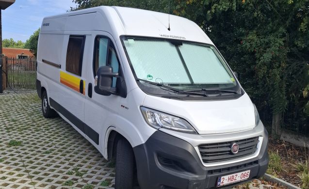 4p Fiat bus uit 2021 vanaf € 112 p.d. - Goboony