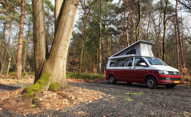 DreamCatcher – 4p Volkswagen kampeerbus uit 2025 - inclusief veel extra ...