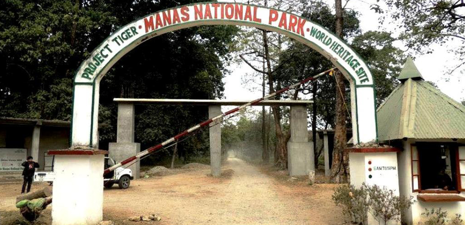 Manas National Park - a wildlife world heritage of India