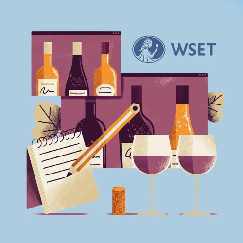 WSET Level 2 in Wines Tasting Sampler (12 btl.)