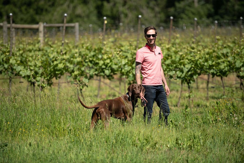 Cowichan Valley, Canada's Budding Wine Region | Wine Enthusiast