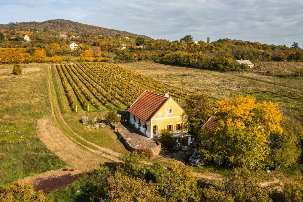 The Greatest Wines You’ve Never Heard of Are Hiding in Hungary | Wine ...