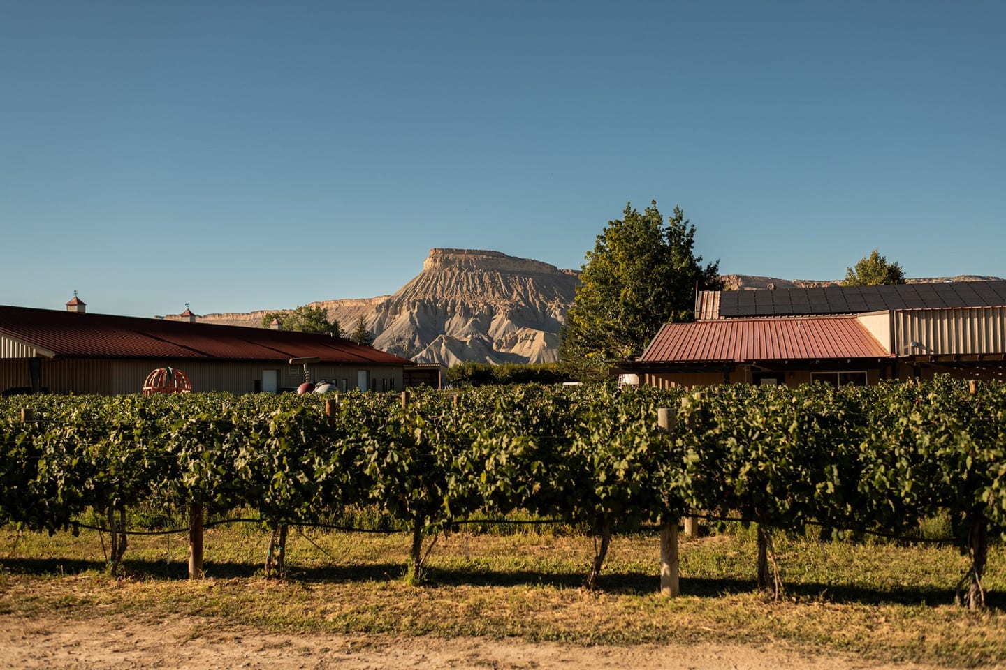 The Best Colorado Wineries to Visit Right Now | Wine Enthusiast