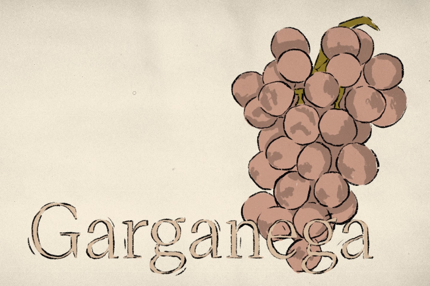 7 Chardonnay Alternatives to Know | Wine Enthusiast