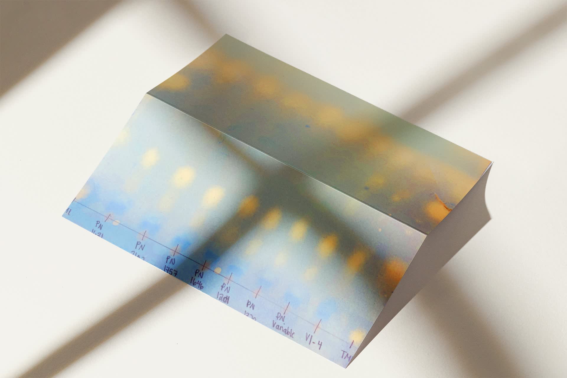 Paper Chromatography and Winemaking | Wine Enthusiast