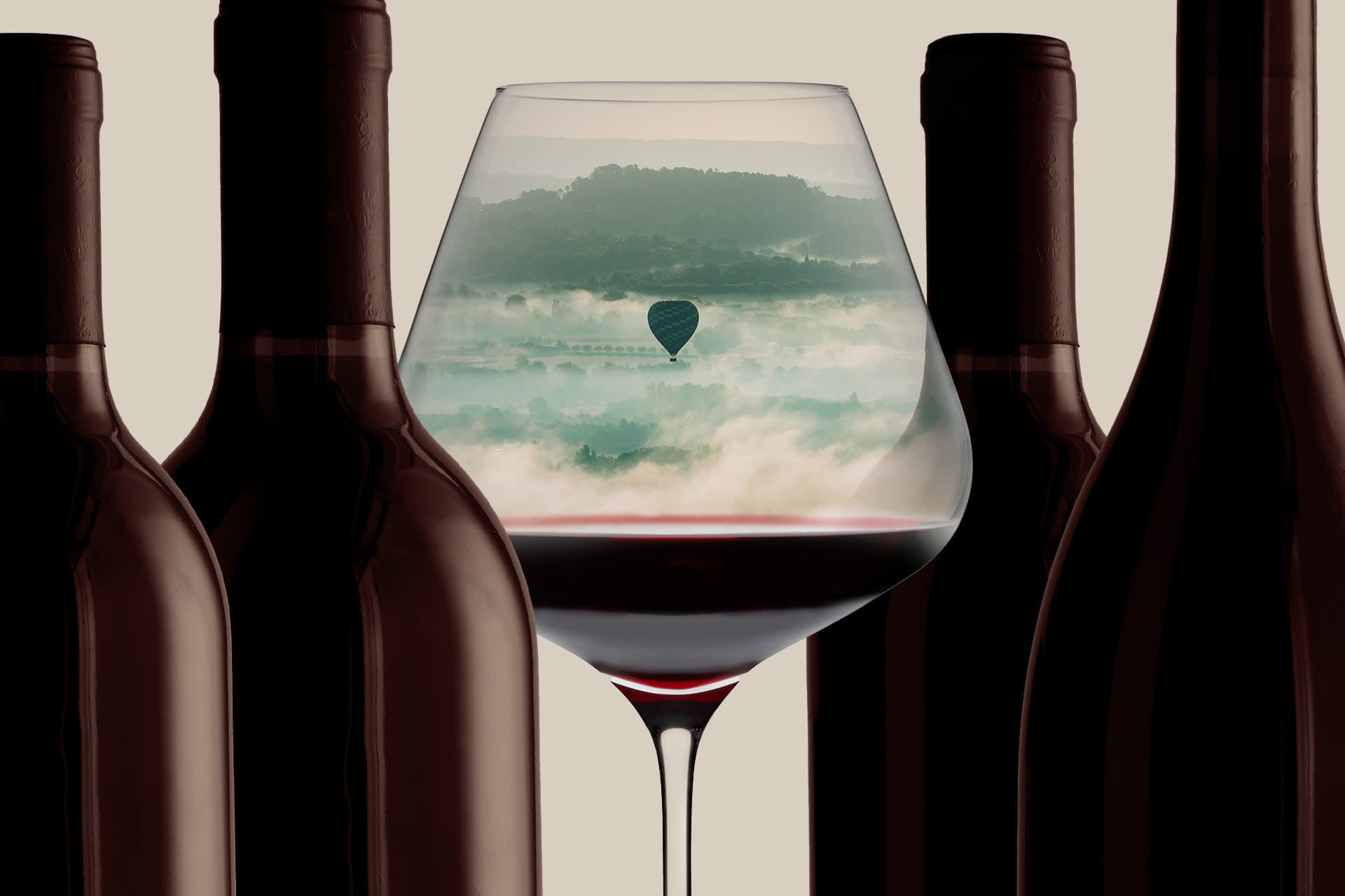 Get to Know the Red Wines of Provence | Wine Enthusiast