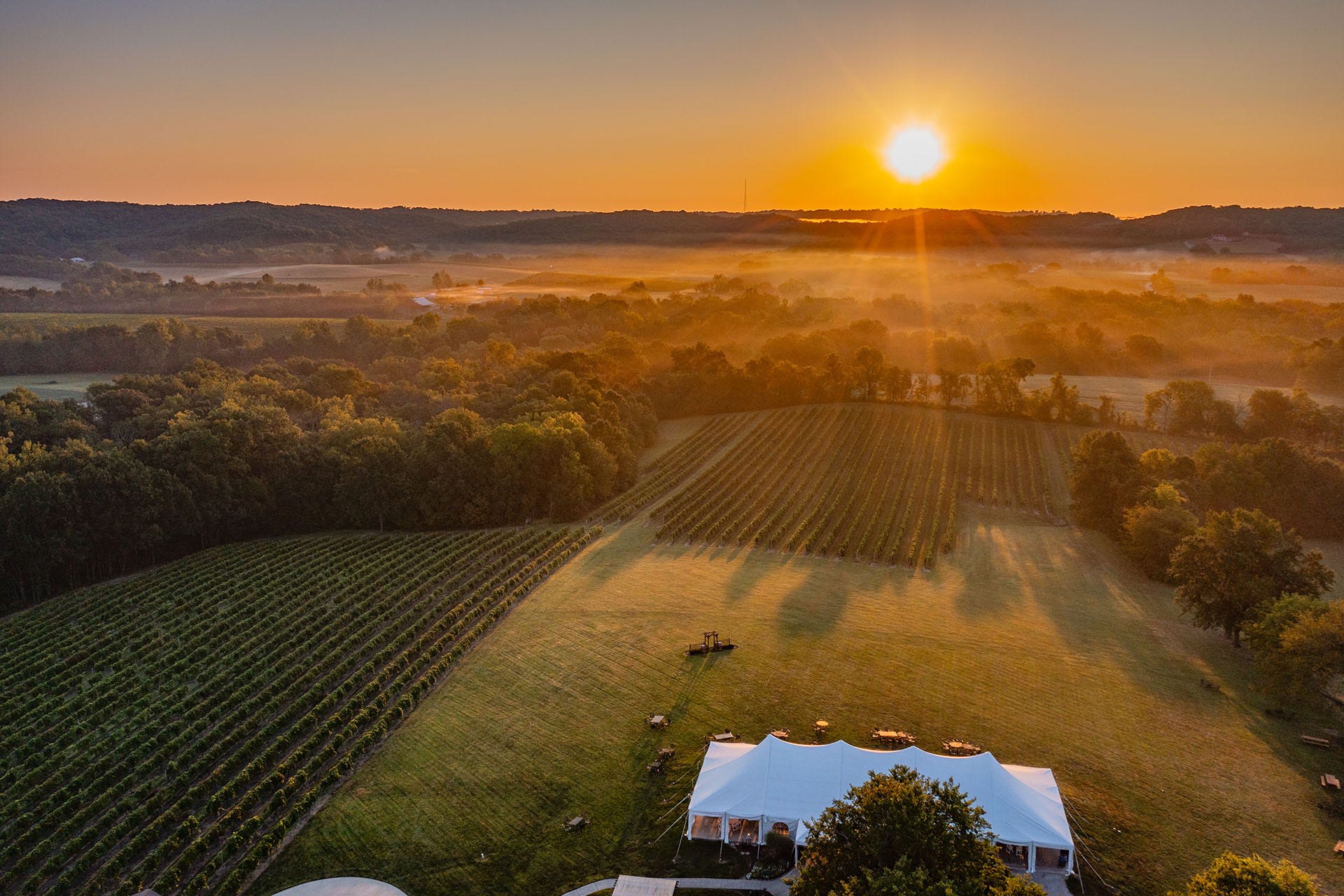 The Surprising Location of America’s First AVA | Wine Enthusiast