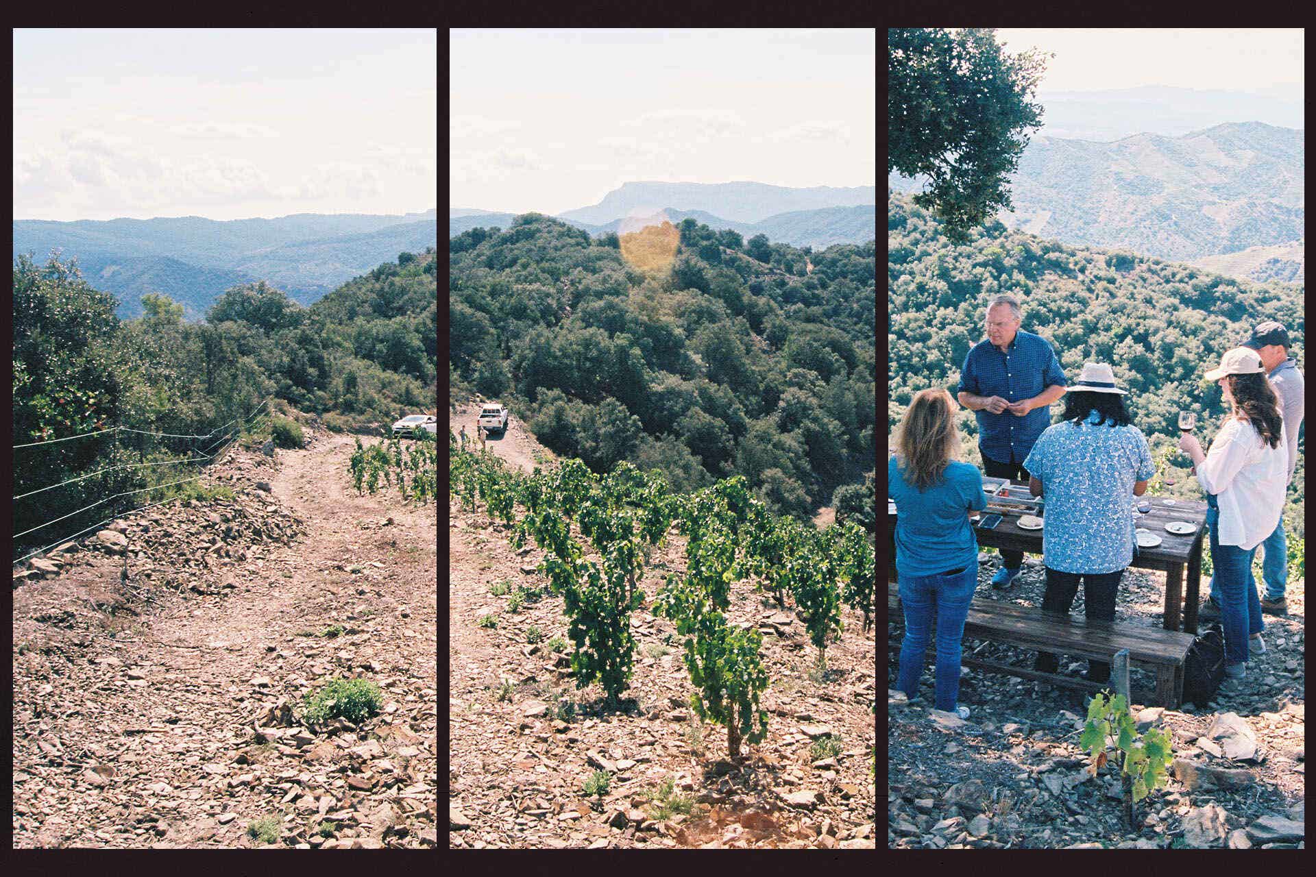 The Rise of High-Altitude Wine | Wine Enthusiast