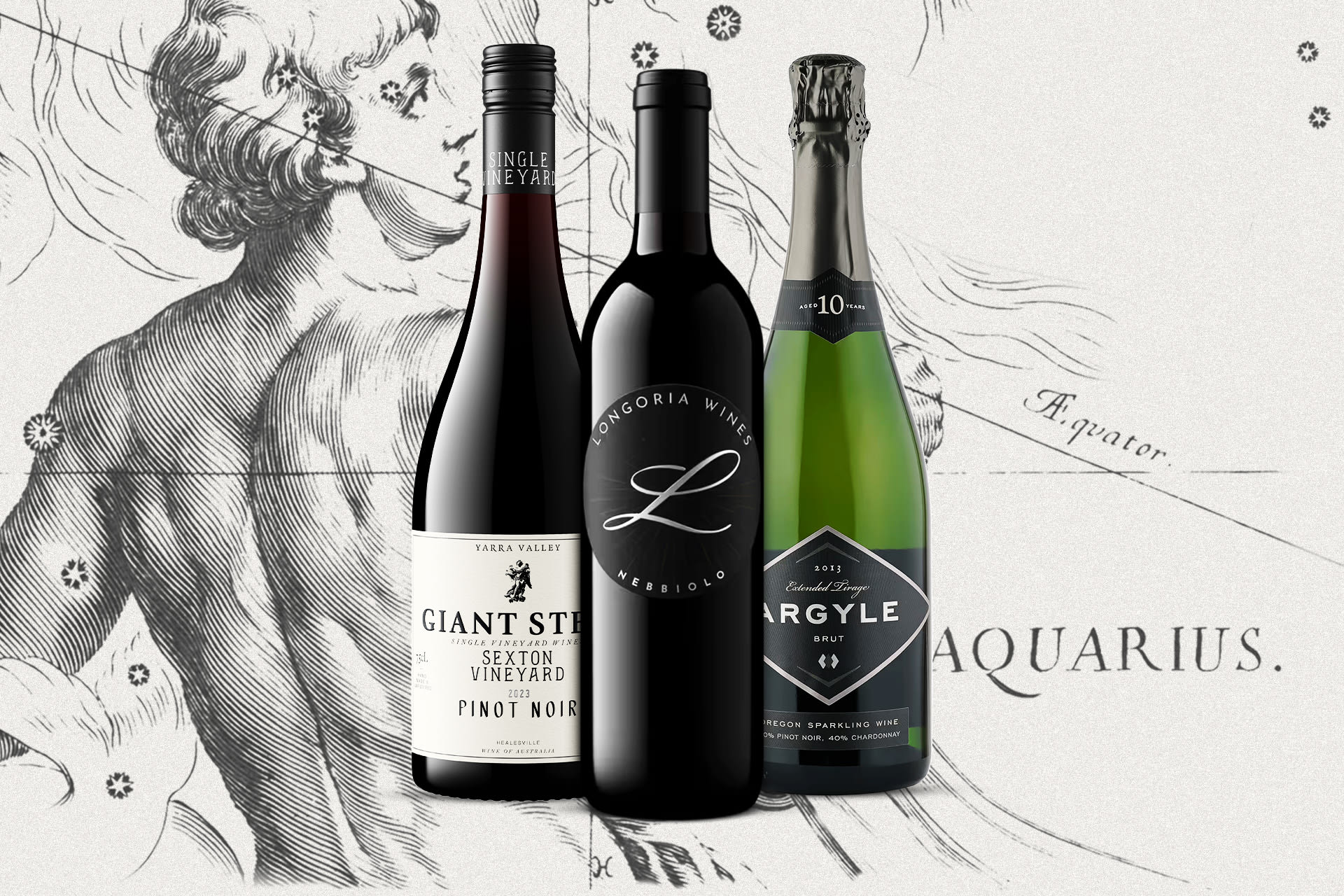 Aquarius Wine Pairings | Wine Enthusiast