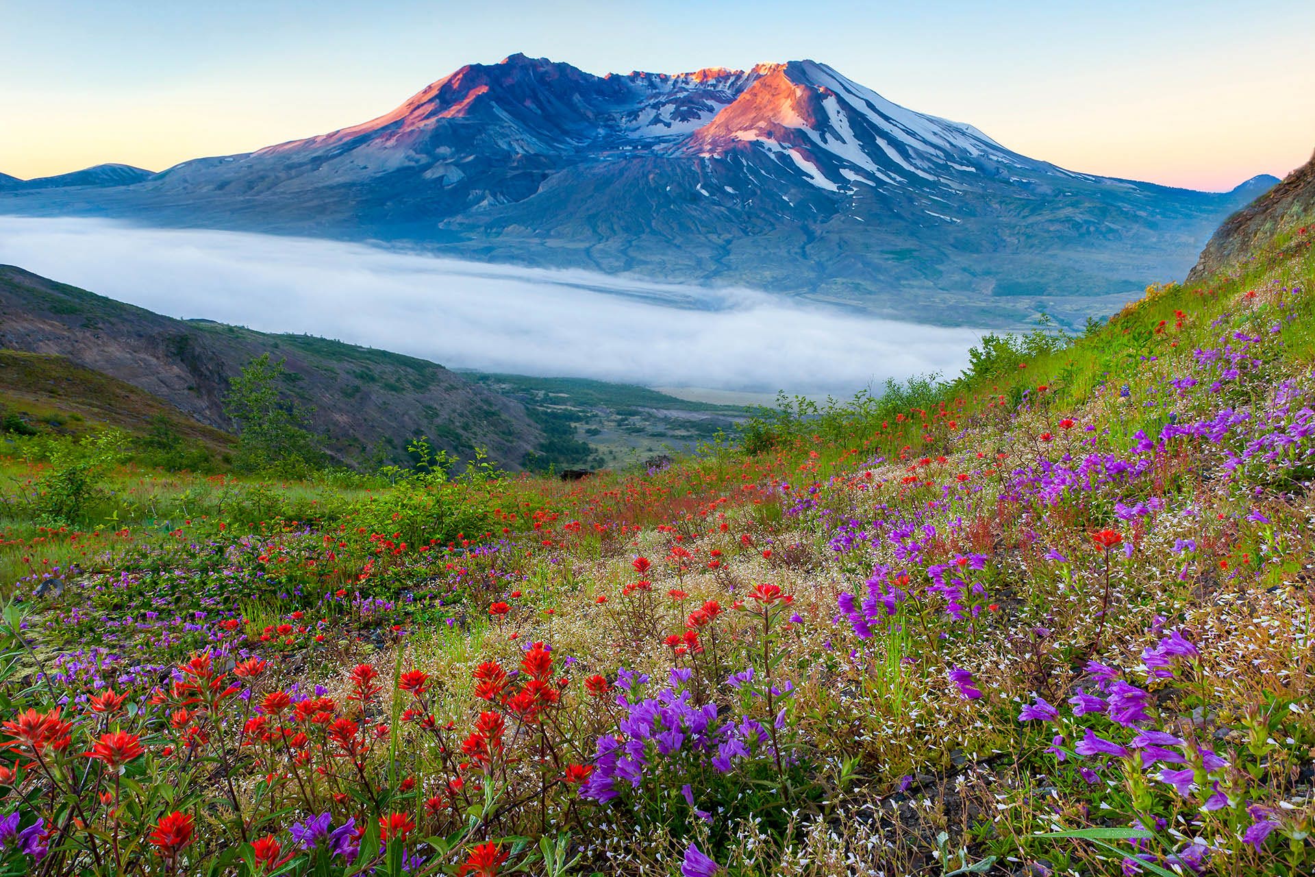 Mount St. Helen Prepared Winemakers for Wildfires | Wine Enthusiast