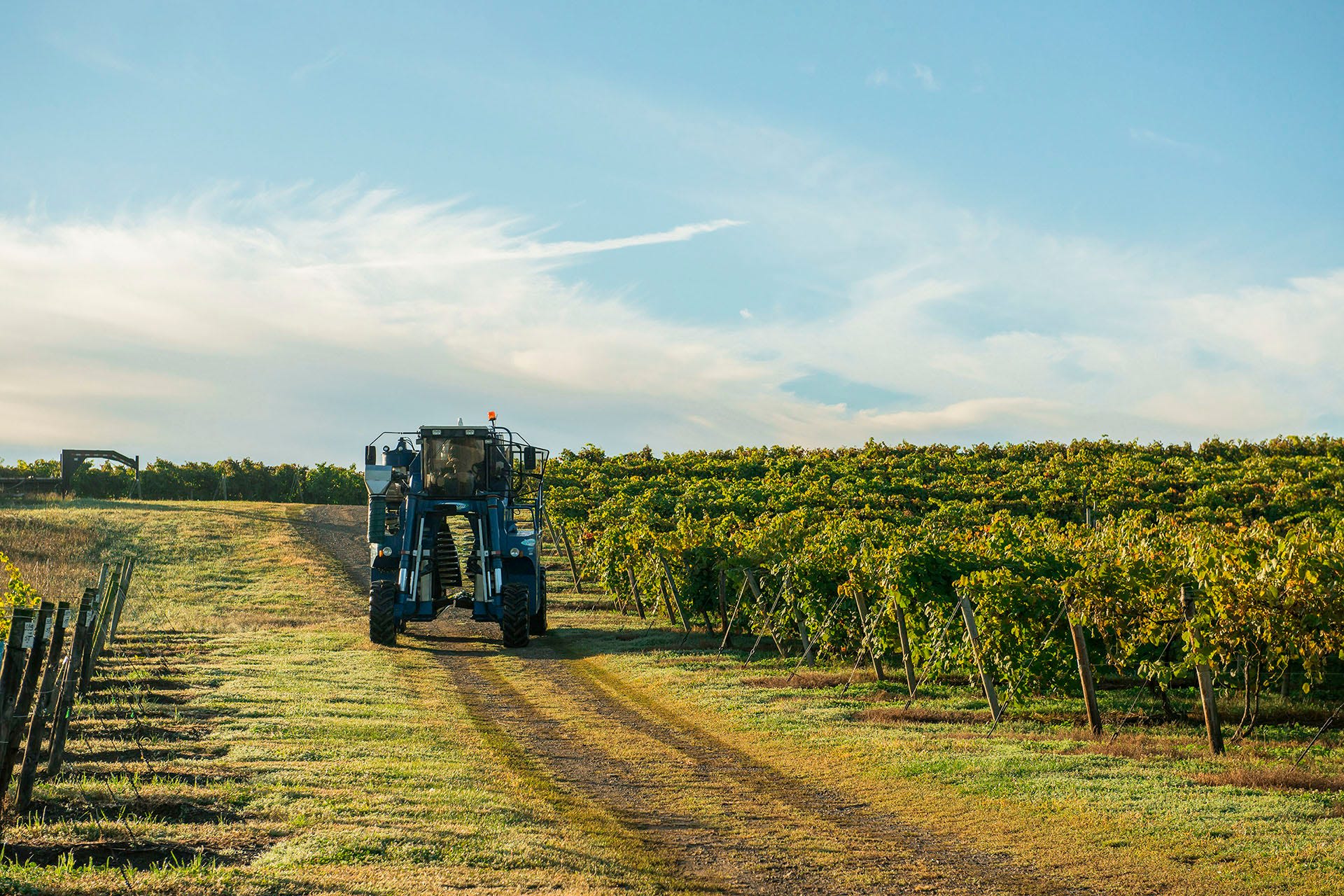 In the Sprawling Lake Erie AVA, Variety Is the Spice of Life | Wine ...