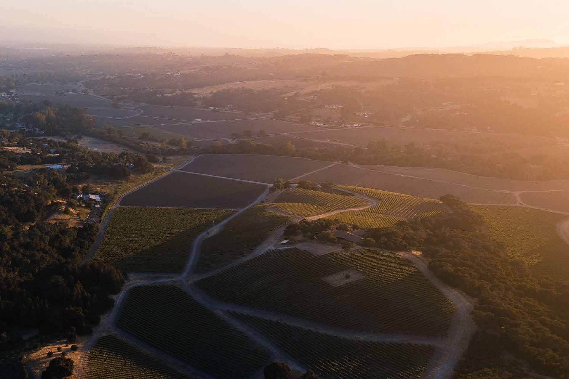 The Best Santa Barbara Wineries to Visit | Wine Enthusiast