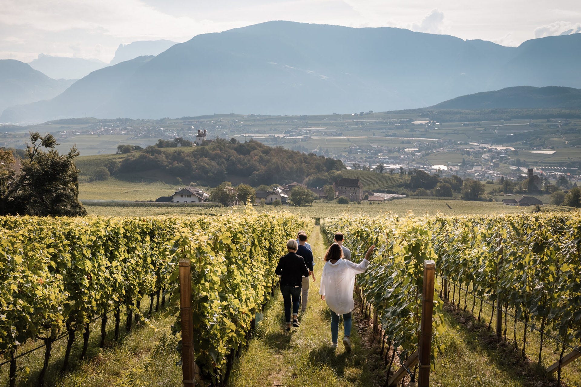 The Best Wineries to Visit in Alto Adige | Wine Enthusiast